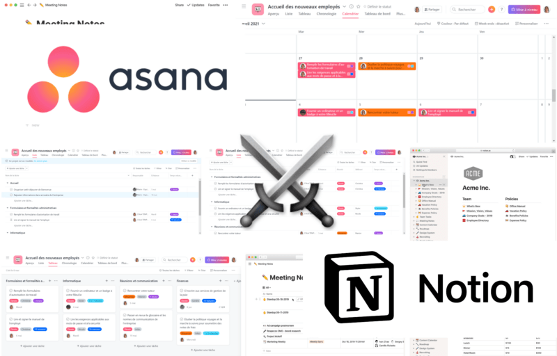Asana & Notion : différences et complémentarité